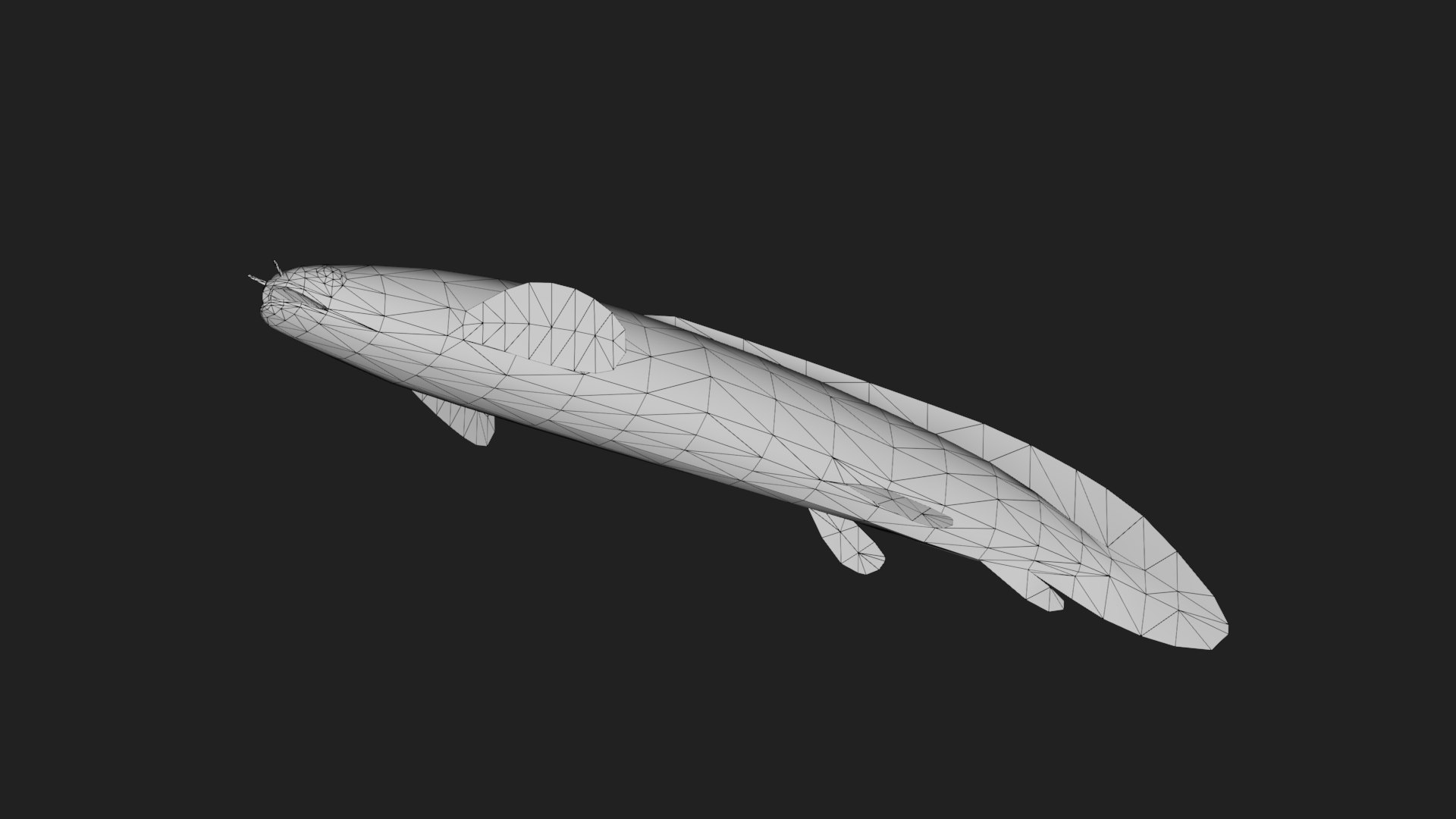 Bichir 3D Model - TurboSquid 2123249
