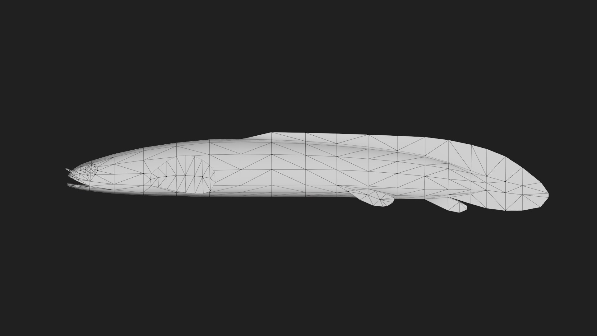 Bichir 3D Model - TurboSquid 2123249
