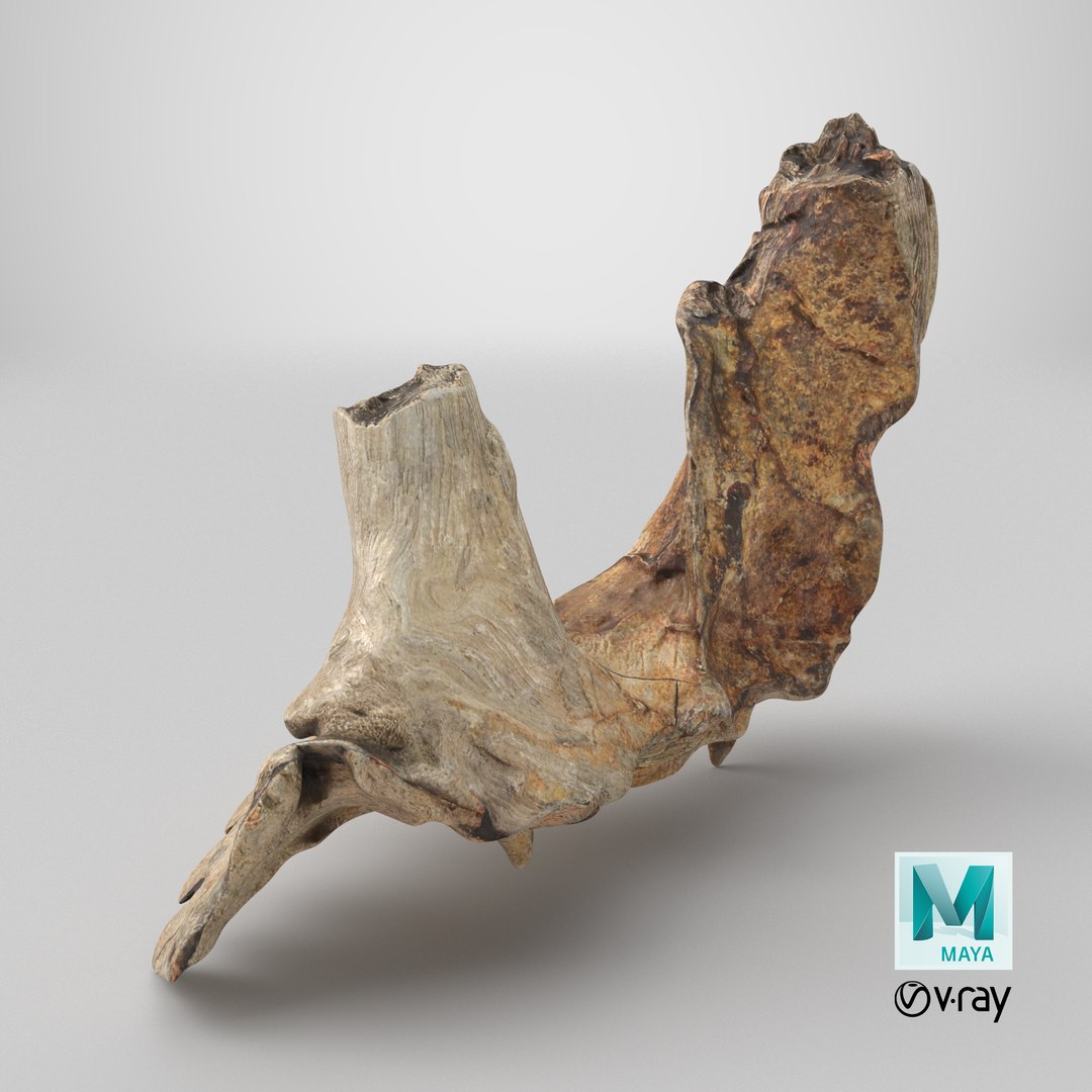 Tree Trunk Piece 05 3D Model - TurboSquid 2484921