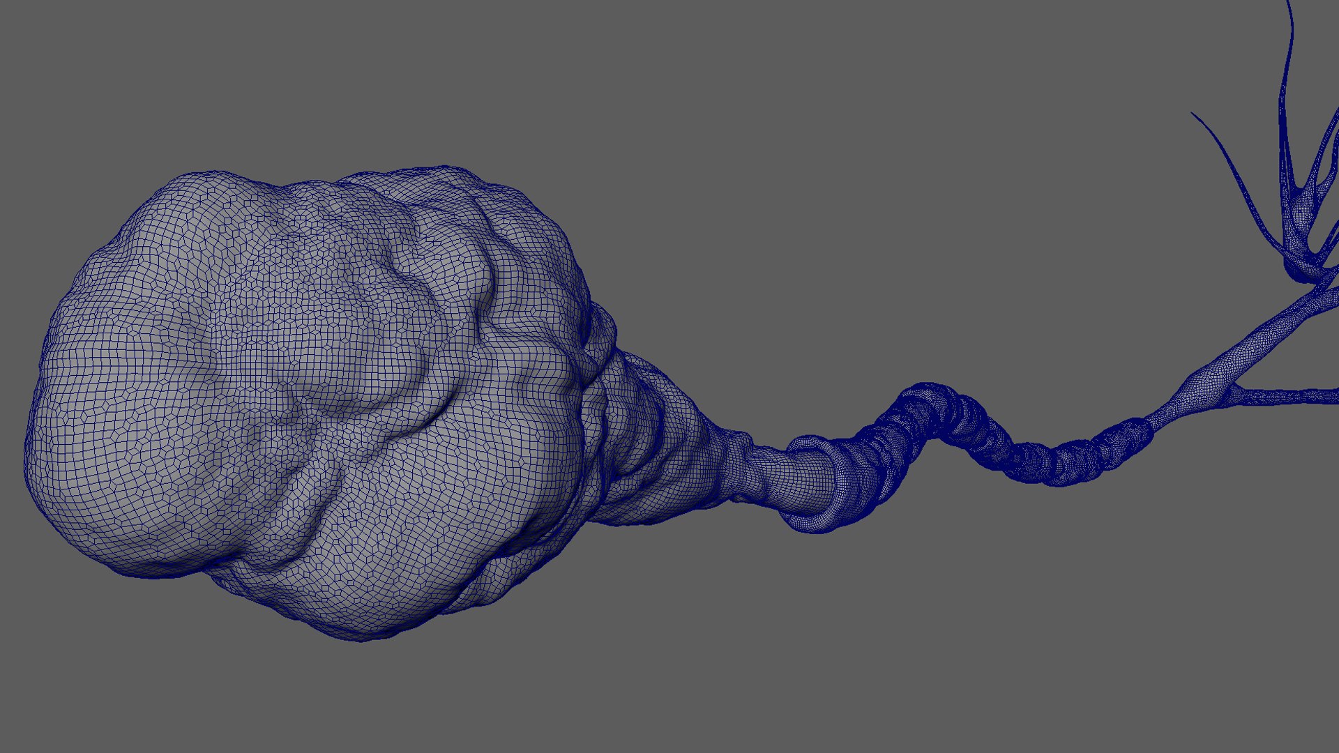 3D Neuron Unipolar - TurboSquid 2235467