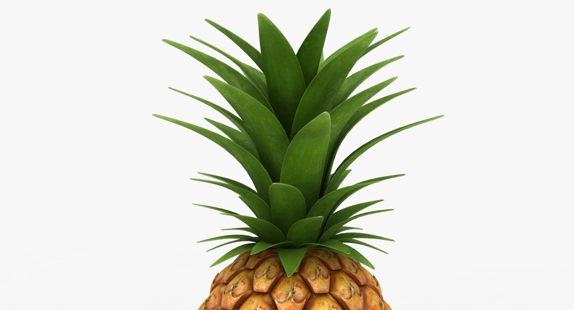 3D Realistic Pineapple - TurboSquid 1262349