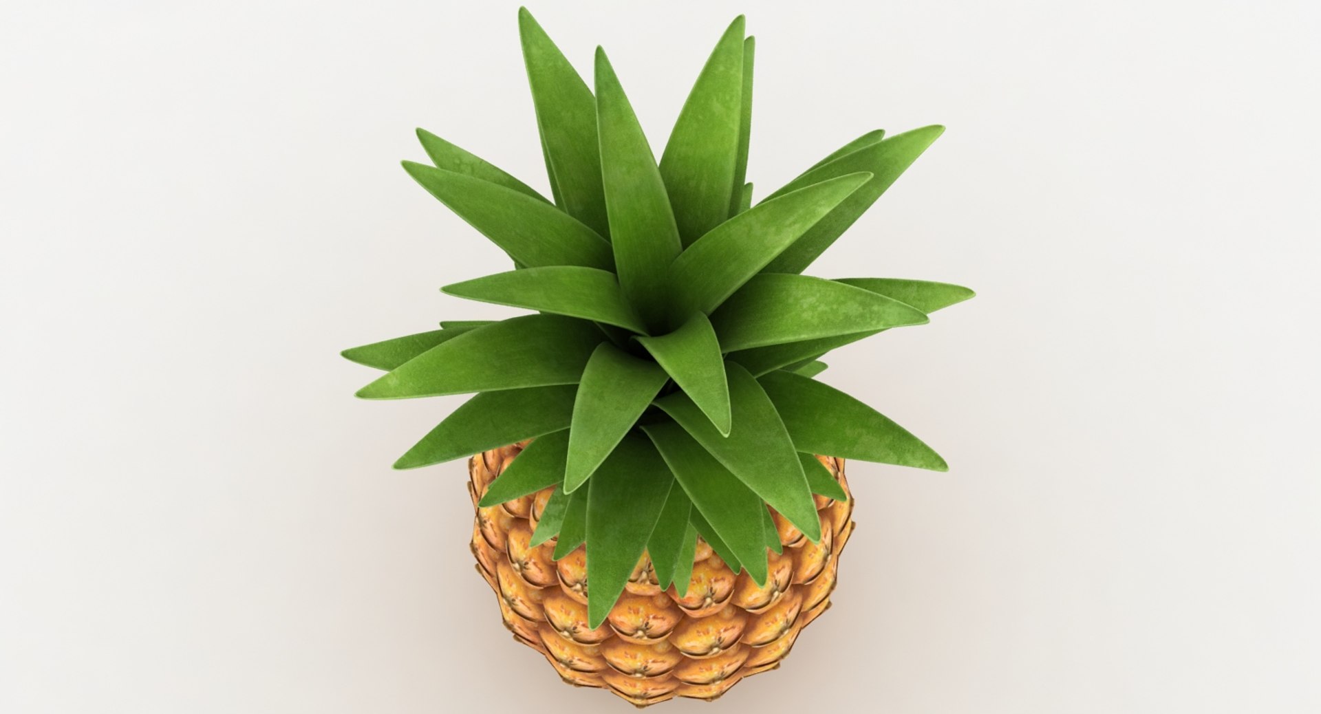 3D Realistic Pineapple - TurboSquid 1262349