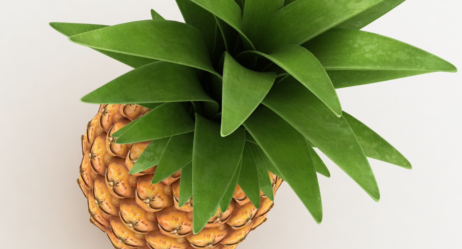 3D Realistic Pineapple - TurboSquid 1262349