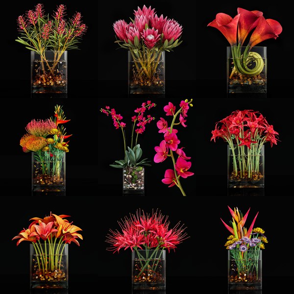 modelo 3d Plant collection 3 - TurboSquid 1991068