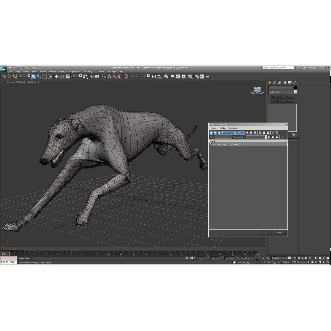 Max Australian Greyhound 2 Pose