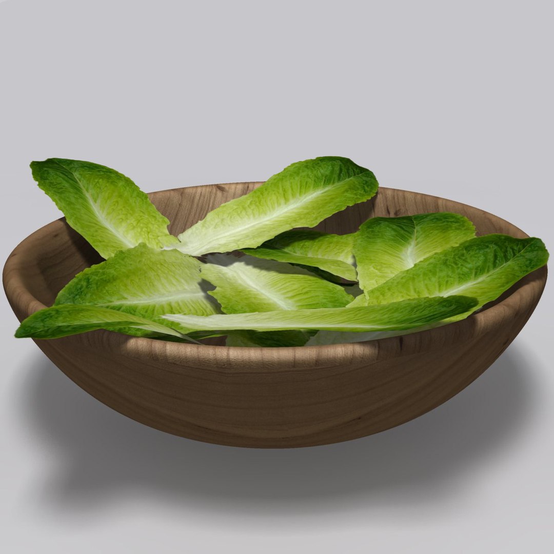Realistic Lettuce Leaf 3d Max