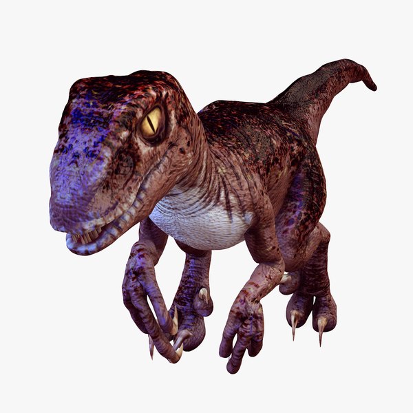 RAPTOR 3D 모델 - TurboSquid 2100050
