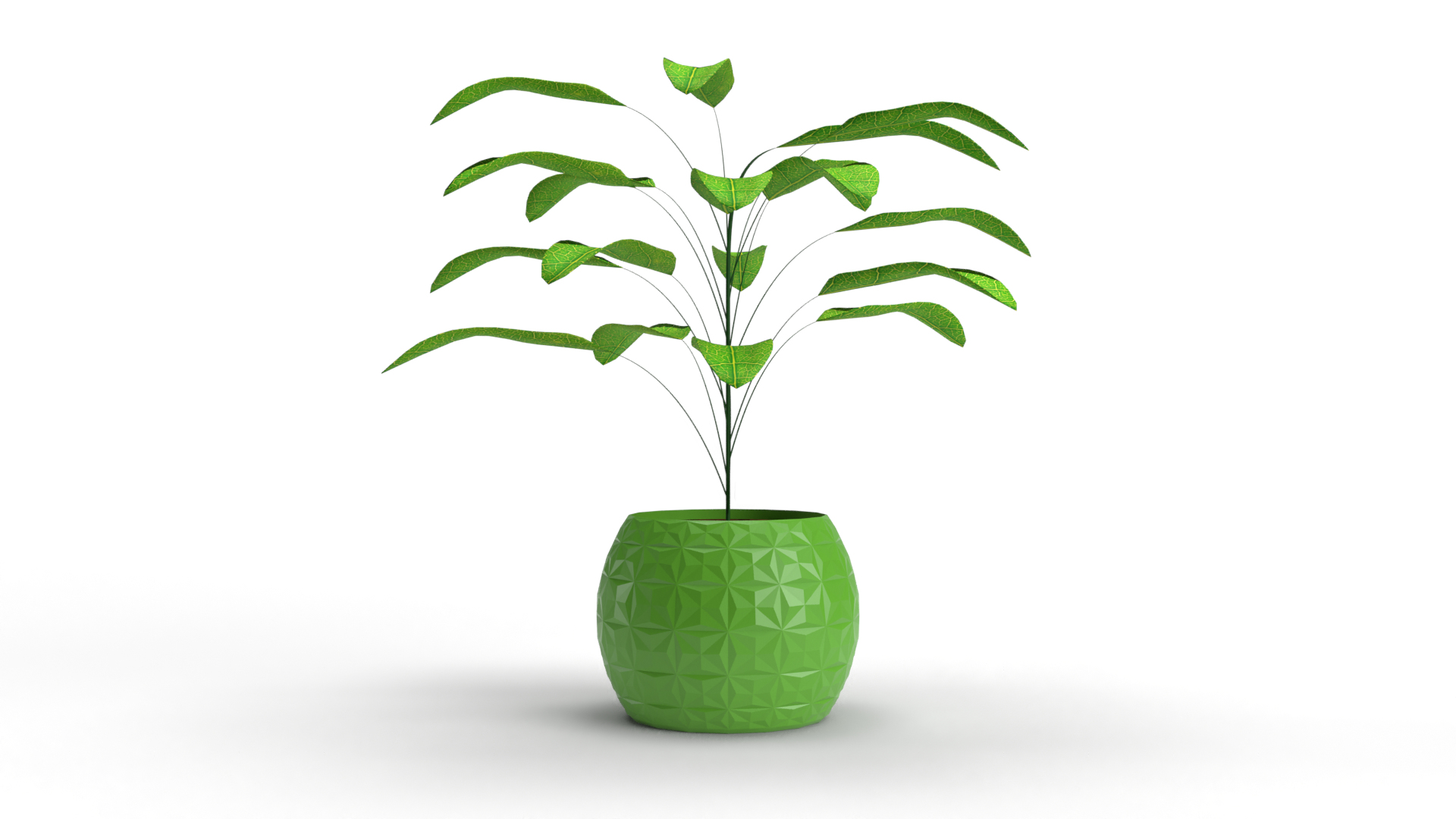 3D Vase Plant model - TurboSquid 1904857
