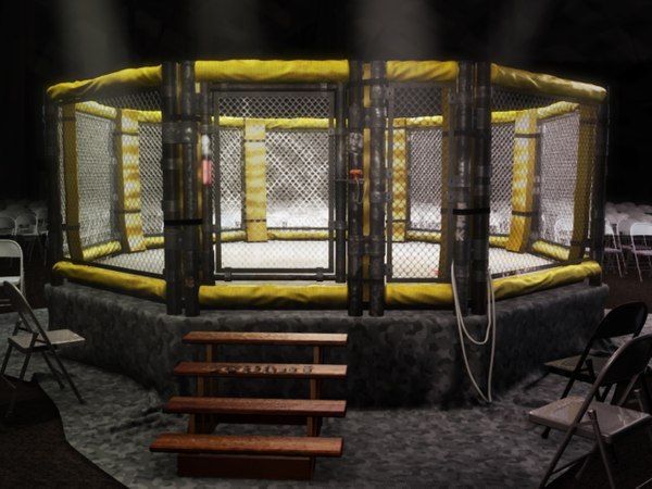 cage fight 3d model