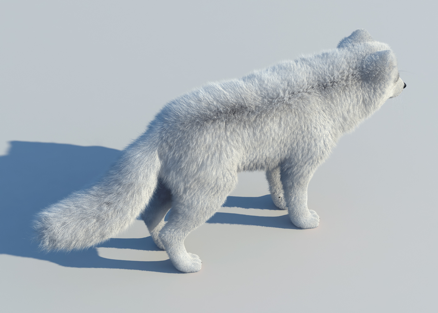 arctic fox fur rigged 3d max