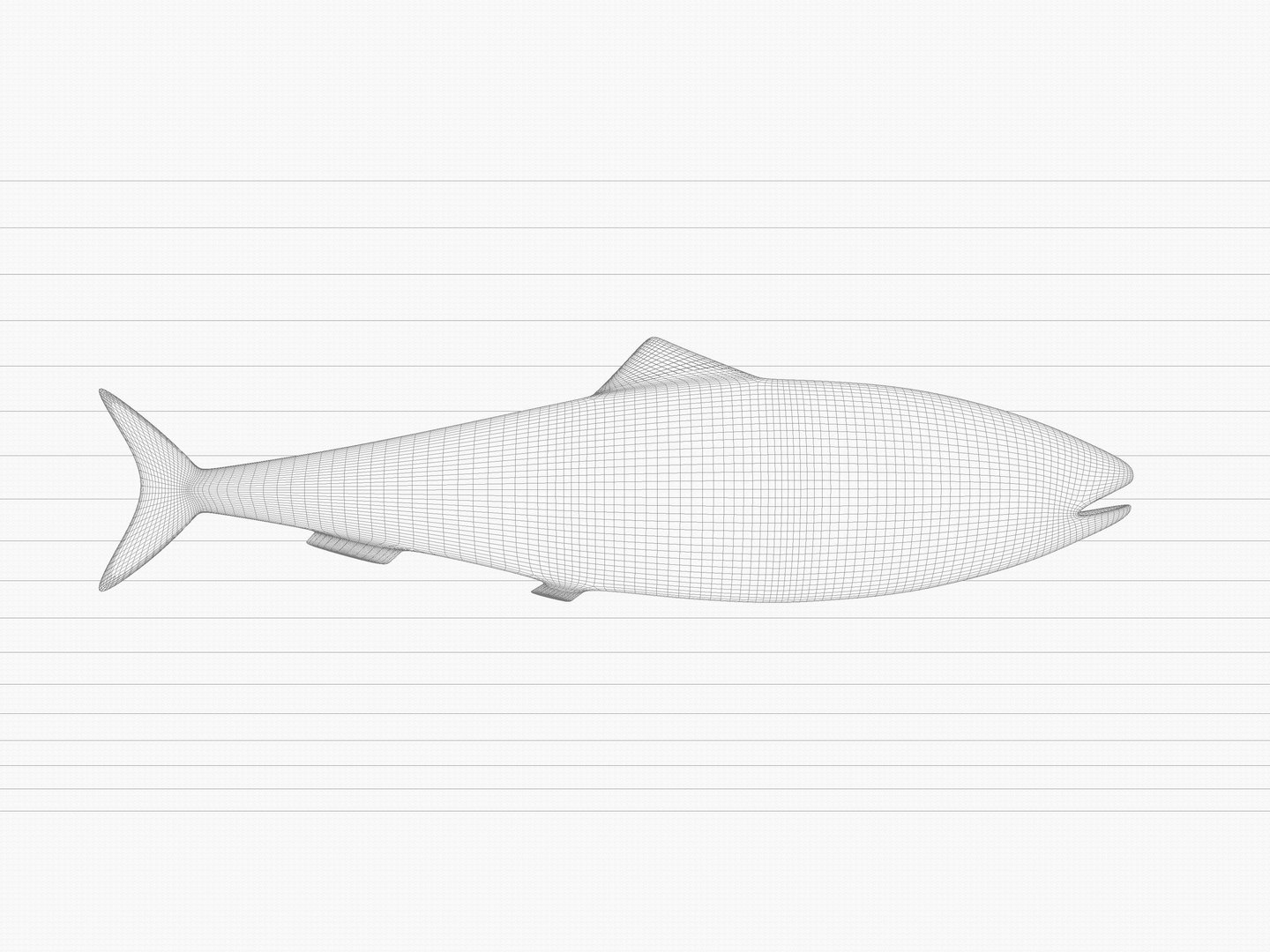 3D Sardine Pilchard Model - TurboSquid 2133240