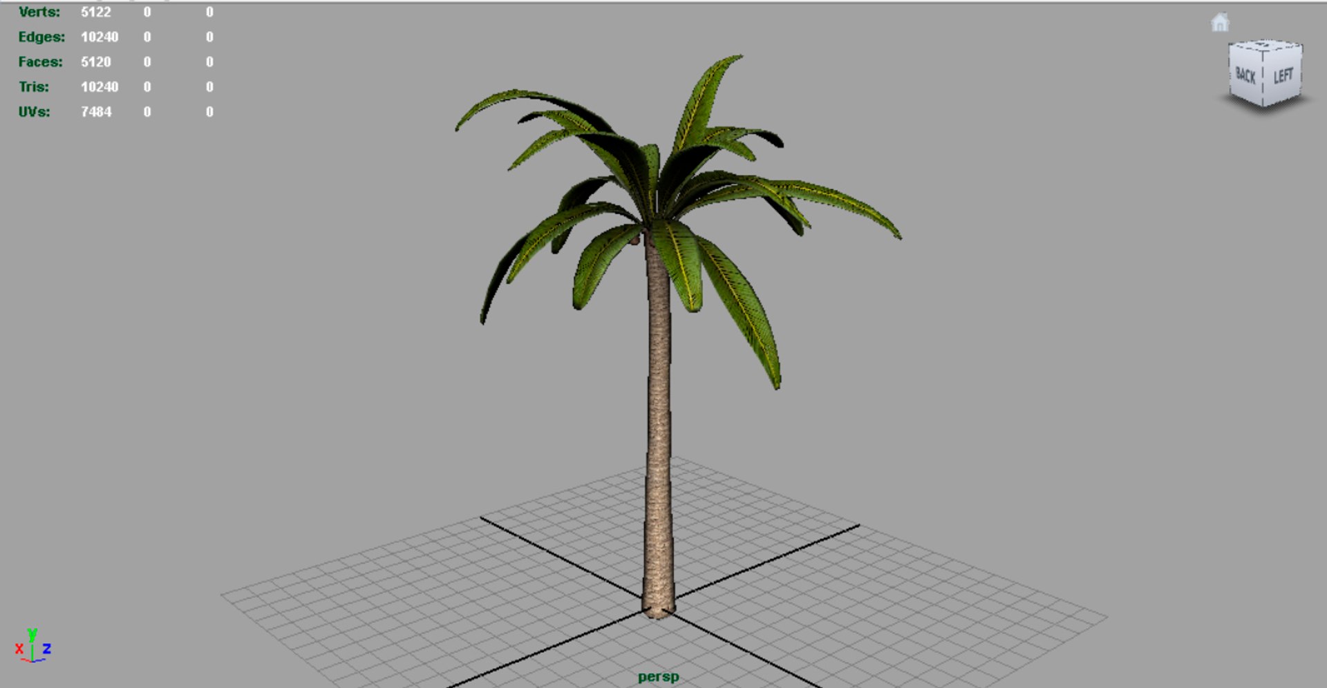 3D Palm Tree Model - TurboSquid 1182501
