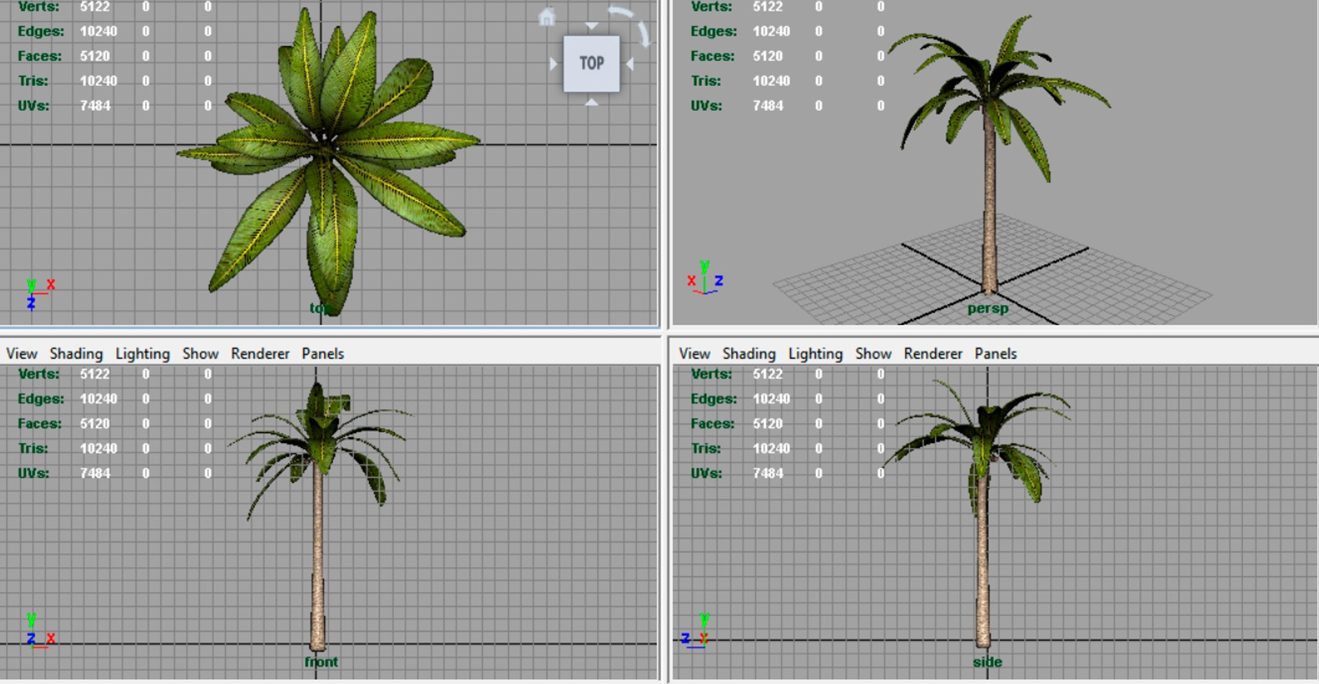 3D Palm Tree Model - TurboSquid 1182501
