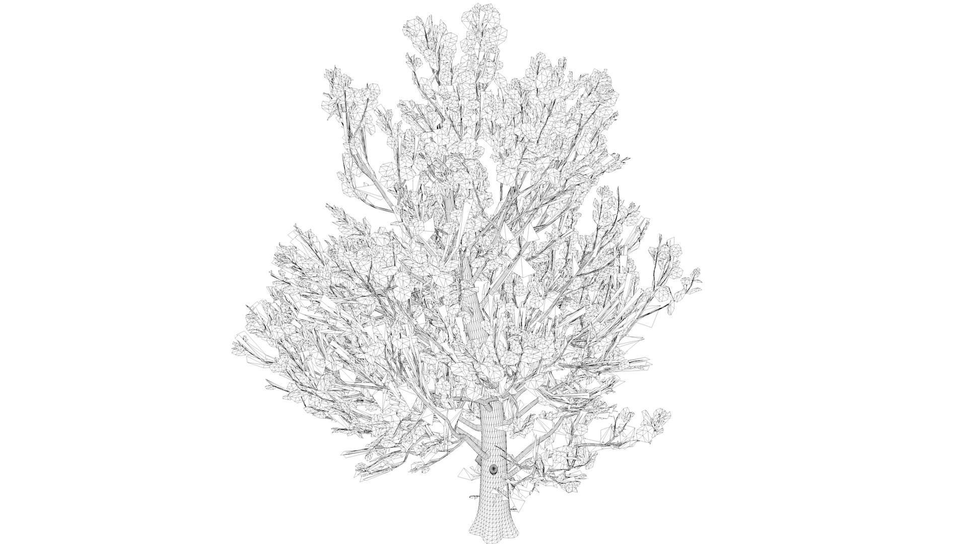 Sugar Maple Tree In Fall - 07 - 3D - TurboSquid 2377840