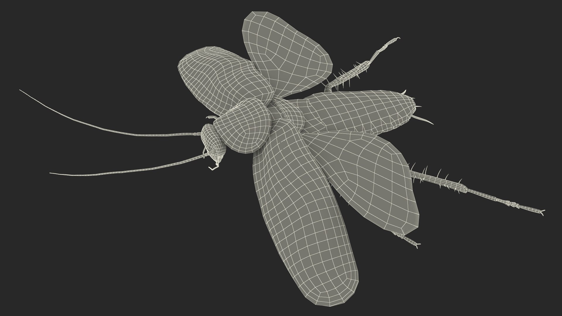 Flying Cockroach T-Pose 3D model - TurboSquid 2073126