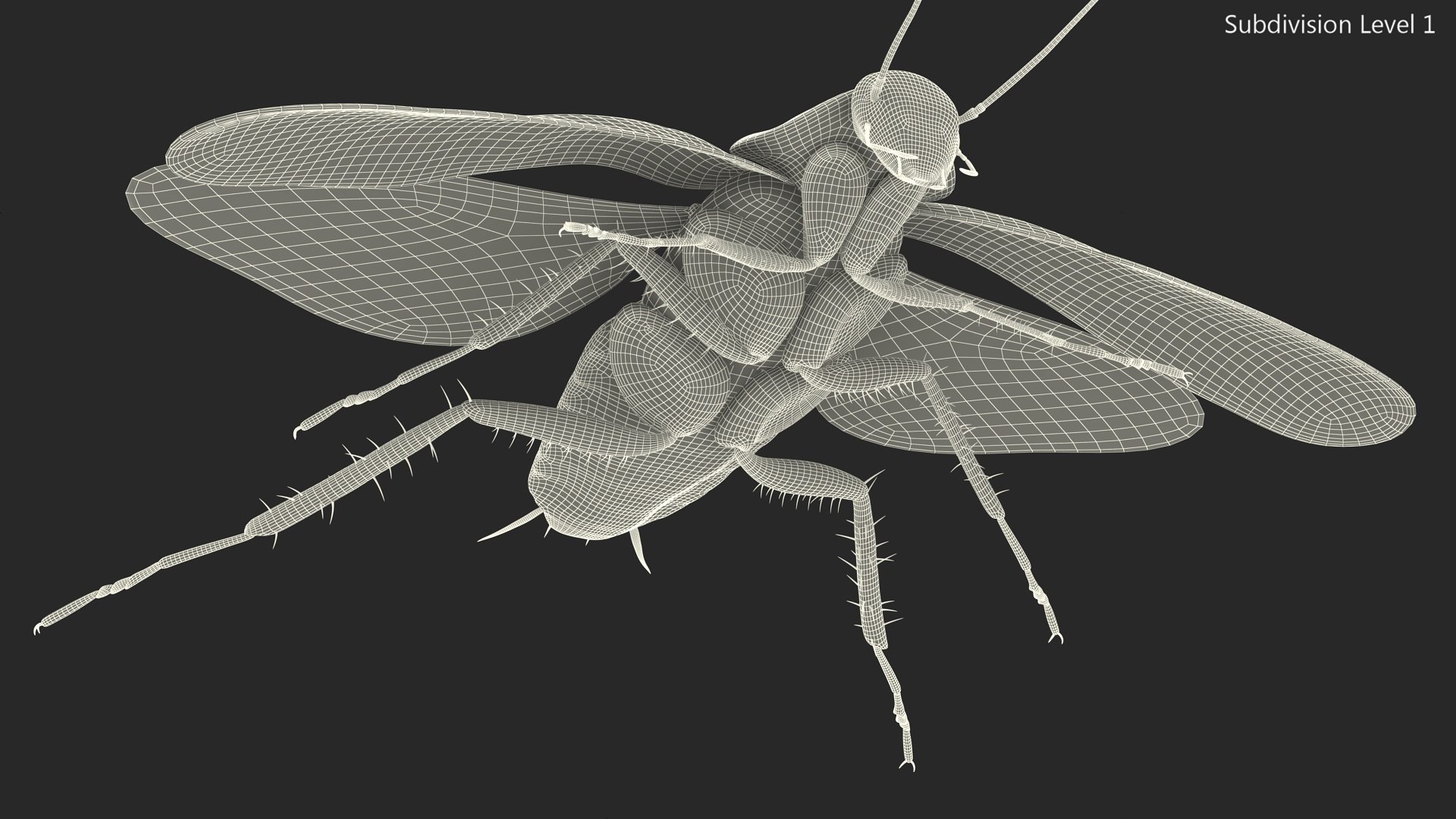 Flying Cockroach T-Pose 3D model - TurboSquid 2073126