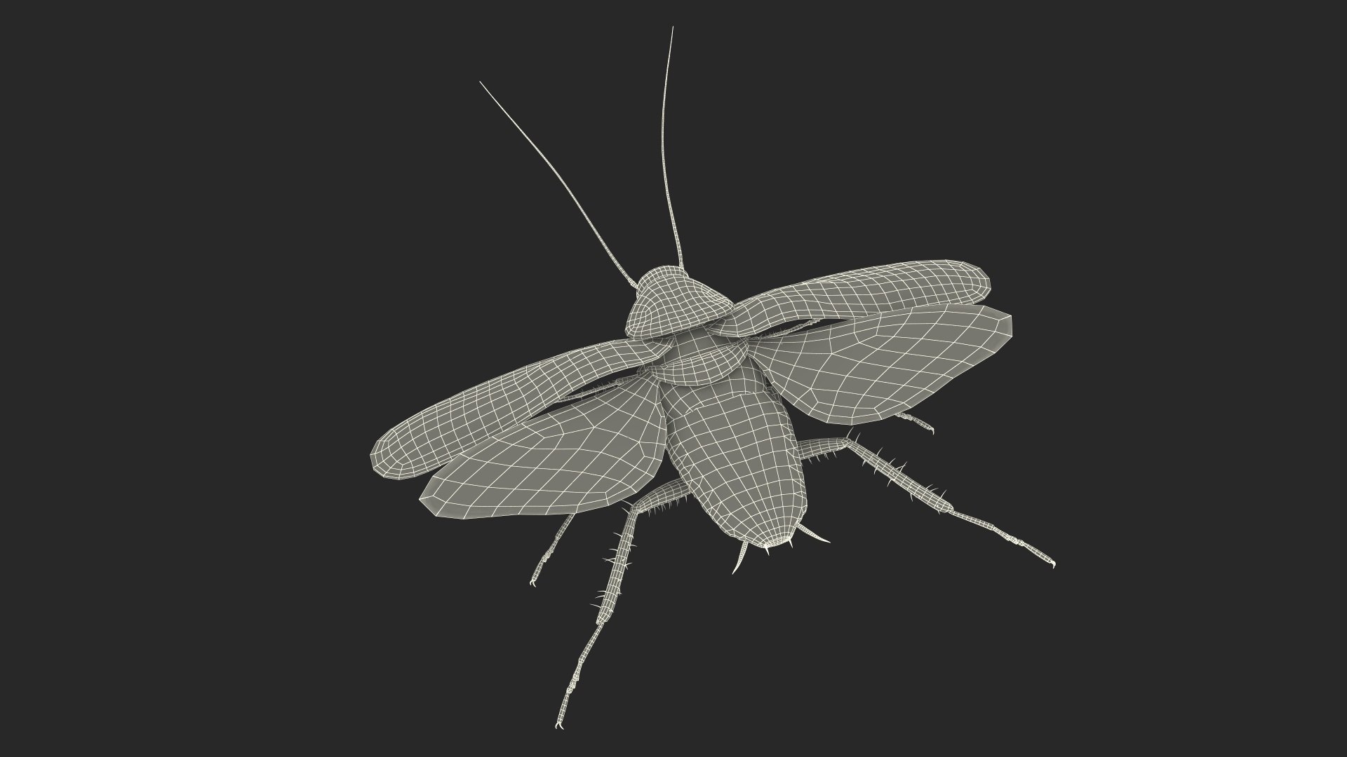 Flying Cockroach T-Pose 3D model - TurboSquid 2073126