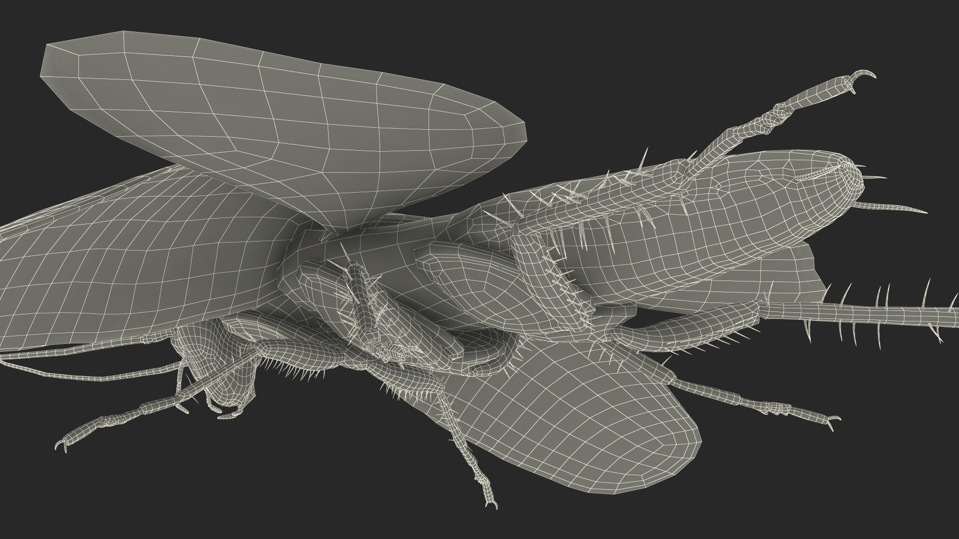 Flying Cockroach T-Pose 3D model - TurboSquid 2073126