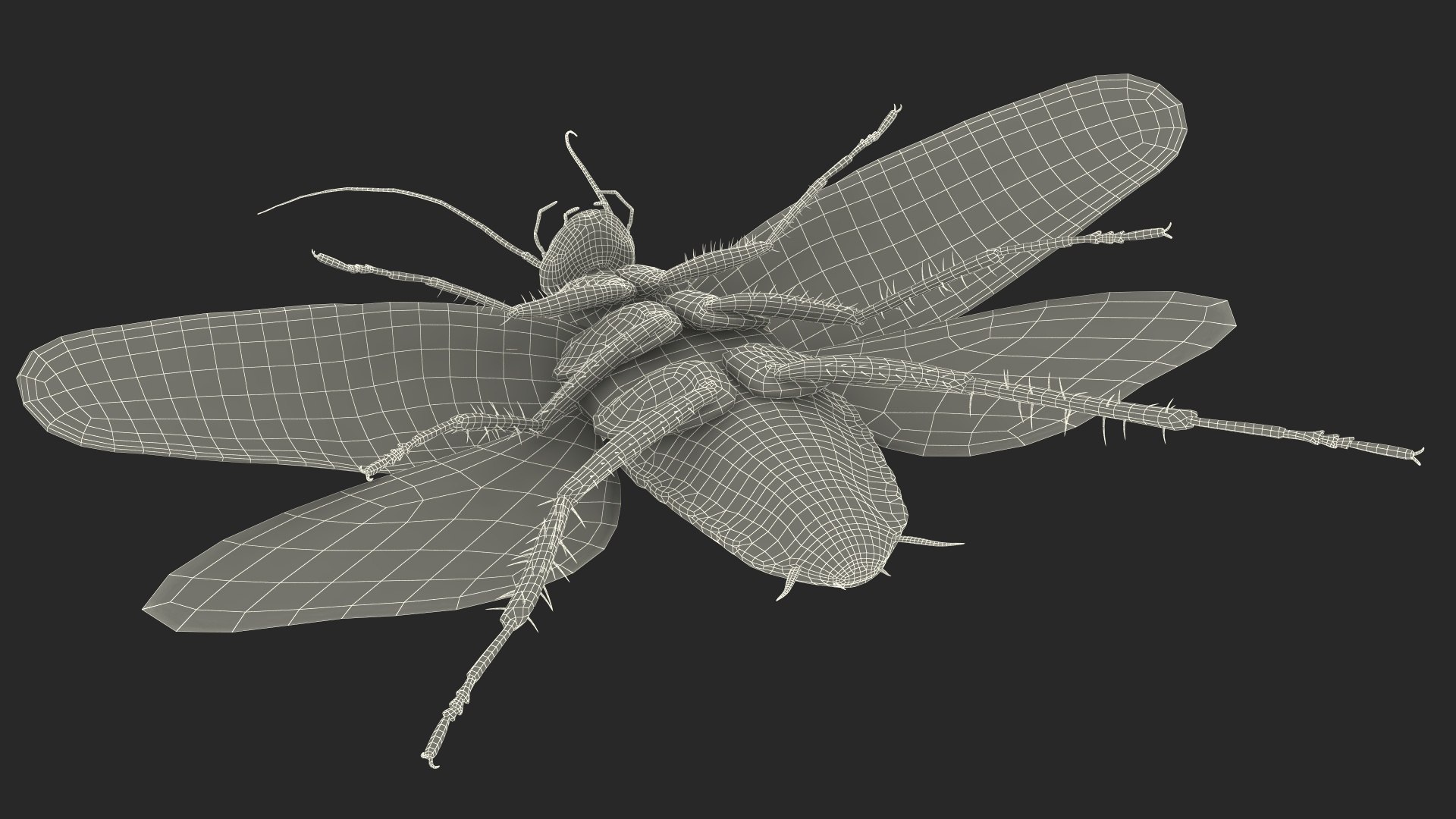 Flying Cockroach T-Pose 3D model - TurboSquid 2073126