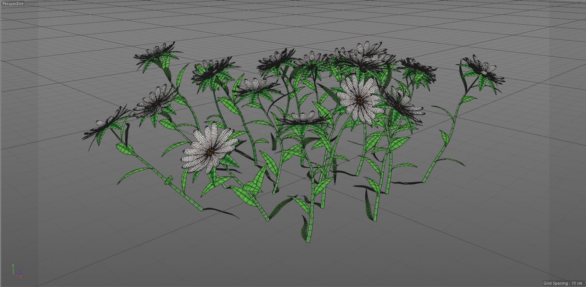 White Flower 3D Model - TurboSquid 1473703