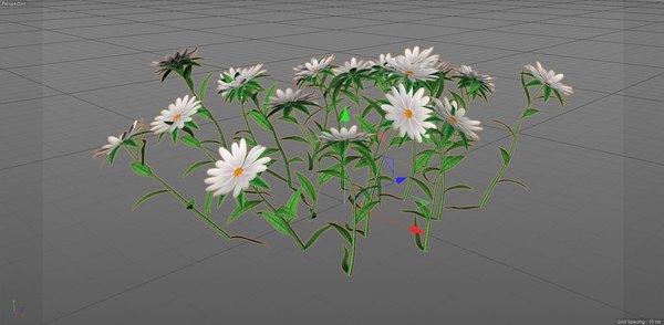 White flower 3D model - TurboSquid 1473703