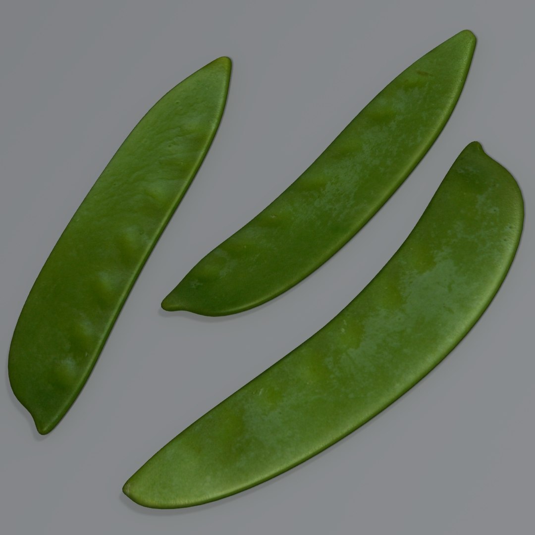 3d Mange Tout Model