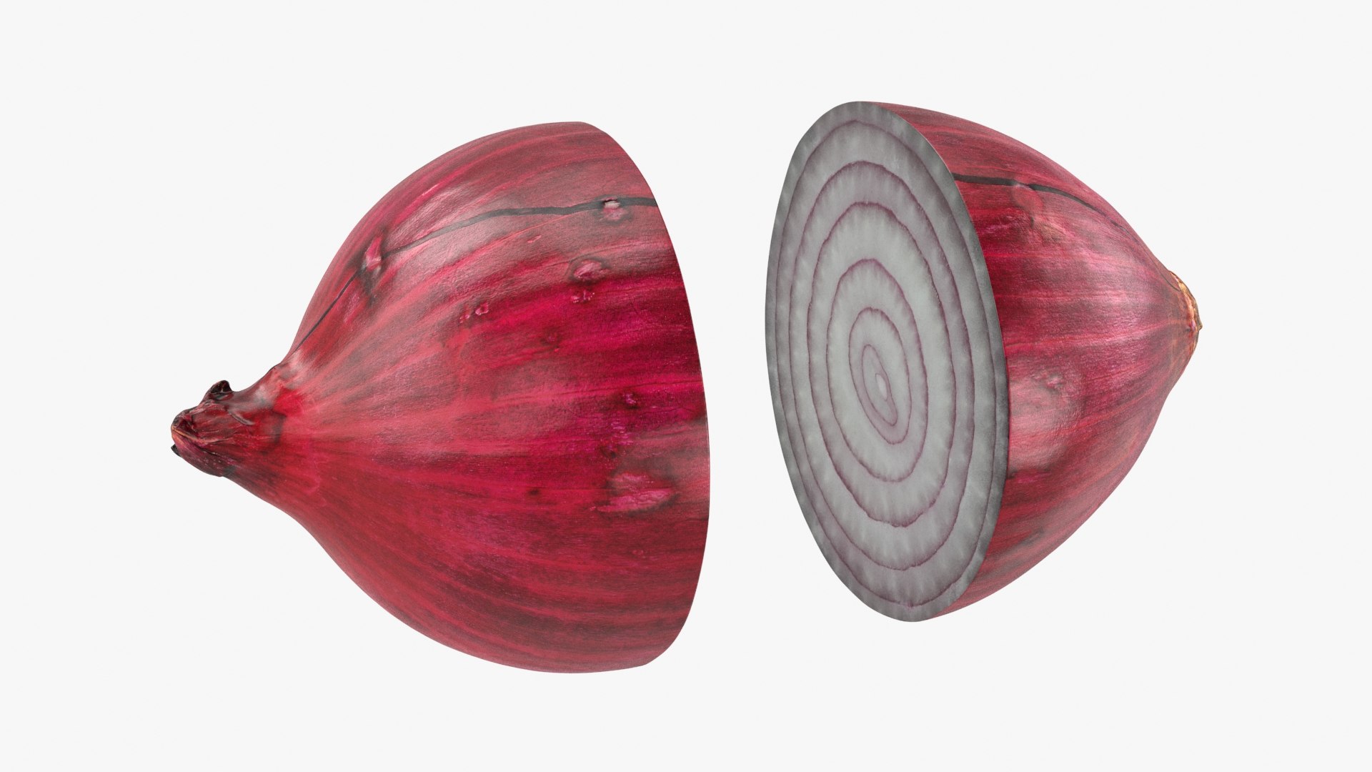 Red Onion Cut In Half 3D Model - TurboSquid 2137543