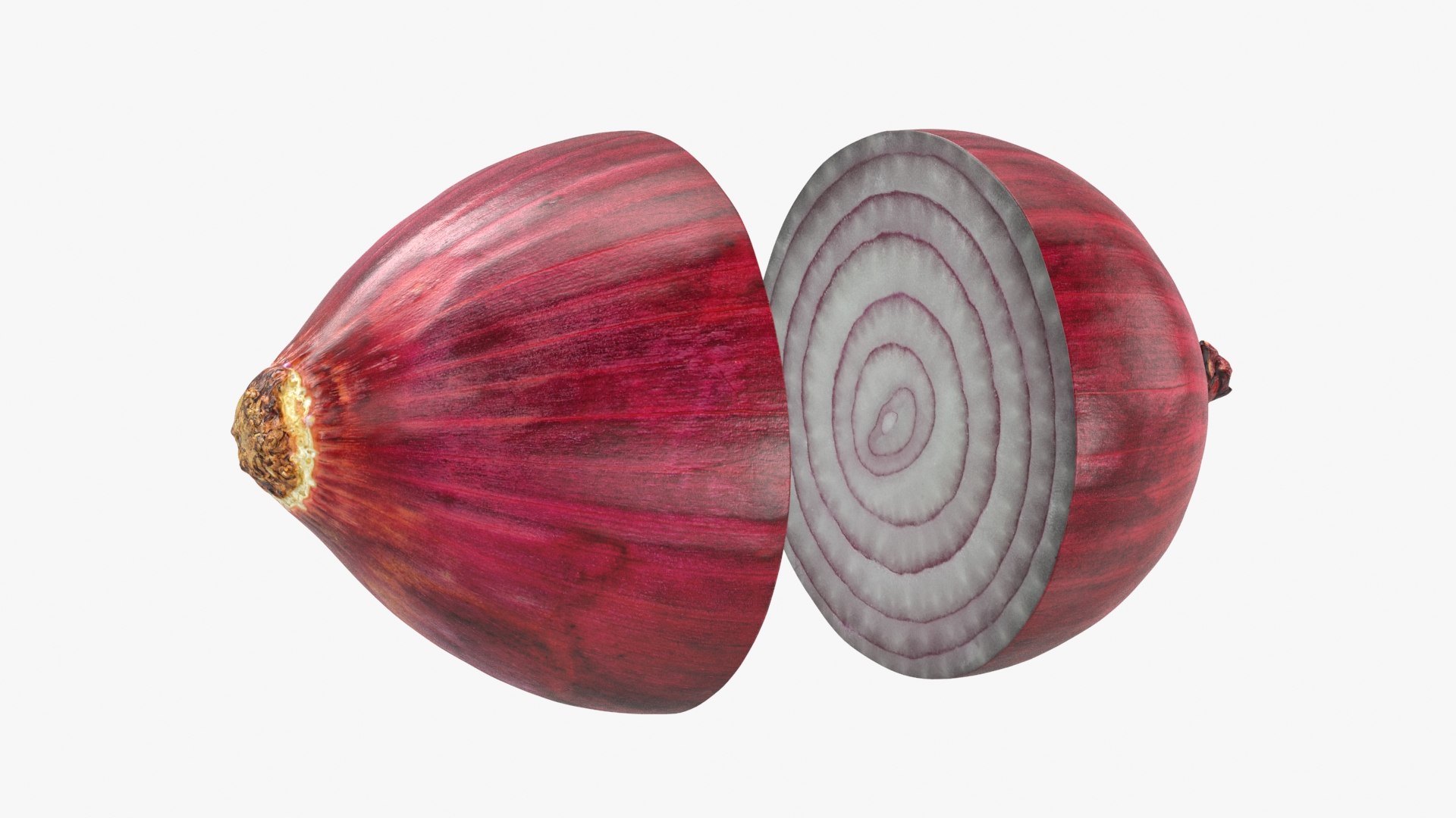 Red Onion Cut In Half 3D Model - TurboSquid 2137543
