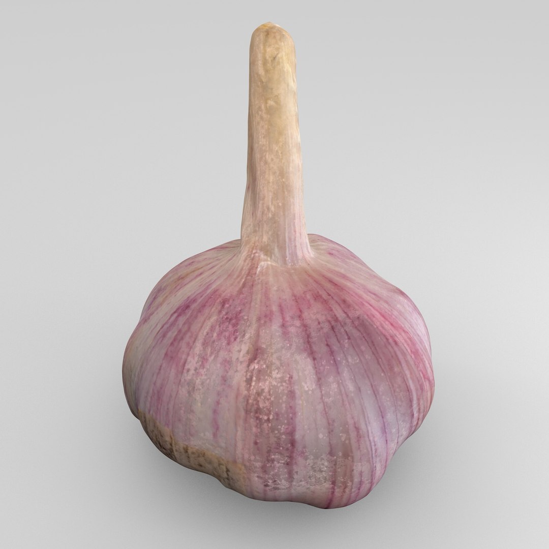 Garlic 3D Model - TurboSquid 1430137