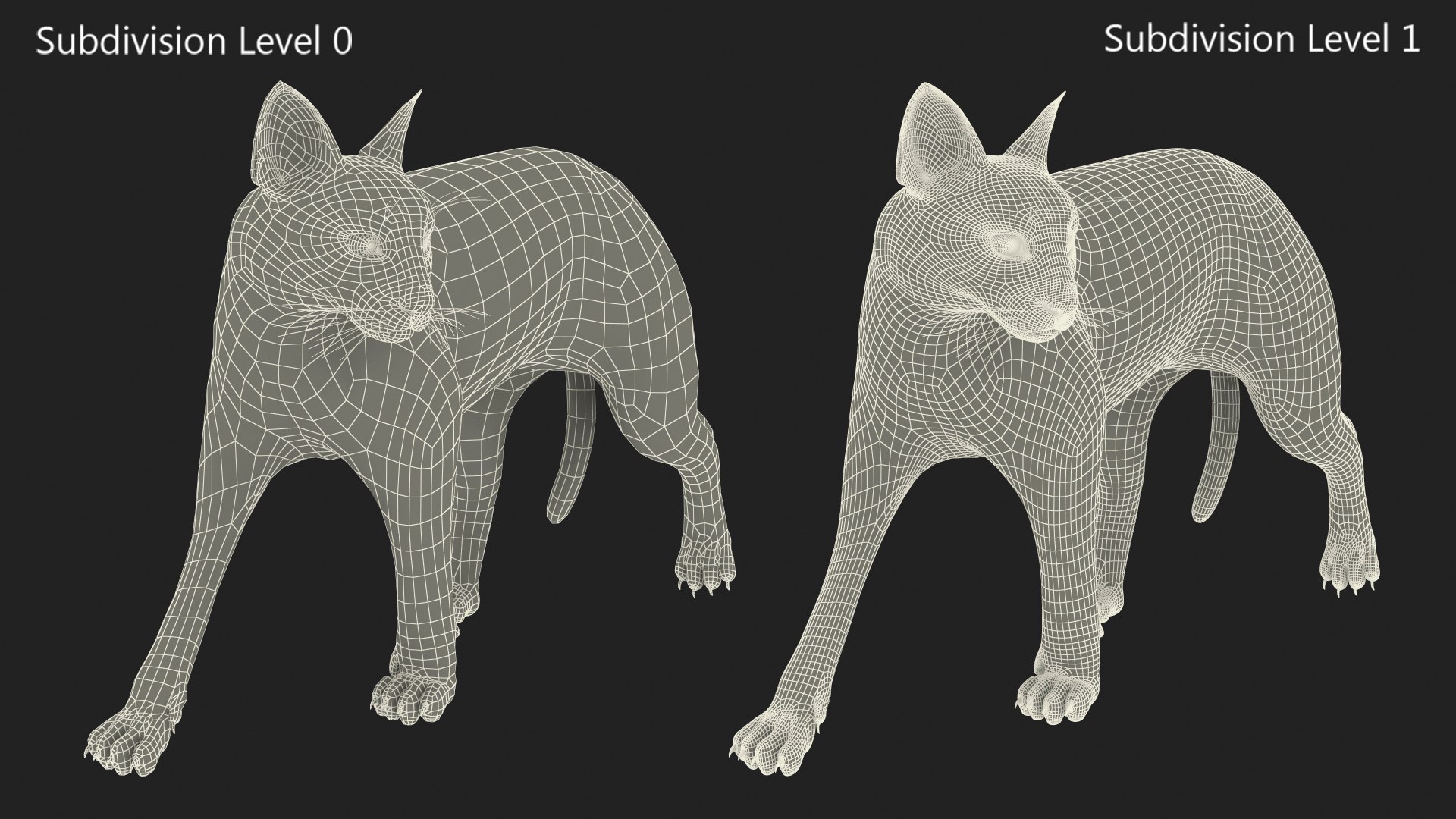 3D Caracal Cat Walking Pose model - TurboSquid 2181880