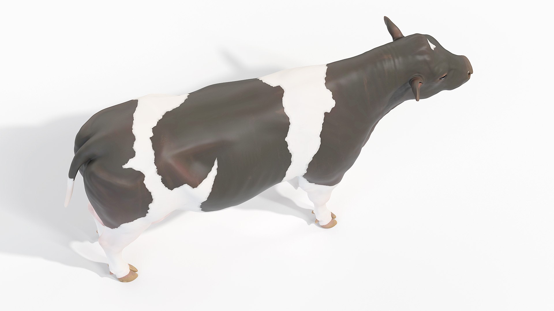 Cow Body Skeleton And Lymphatic System Static 3D Model - TurboSquid 1893844