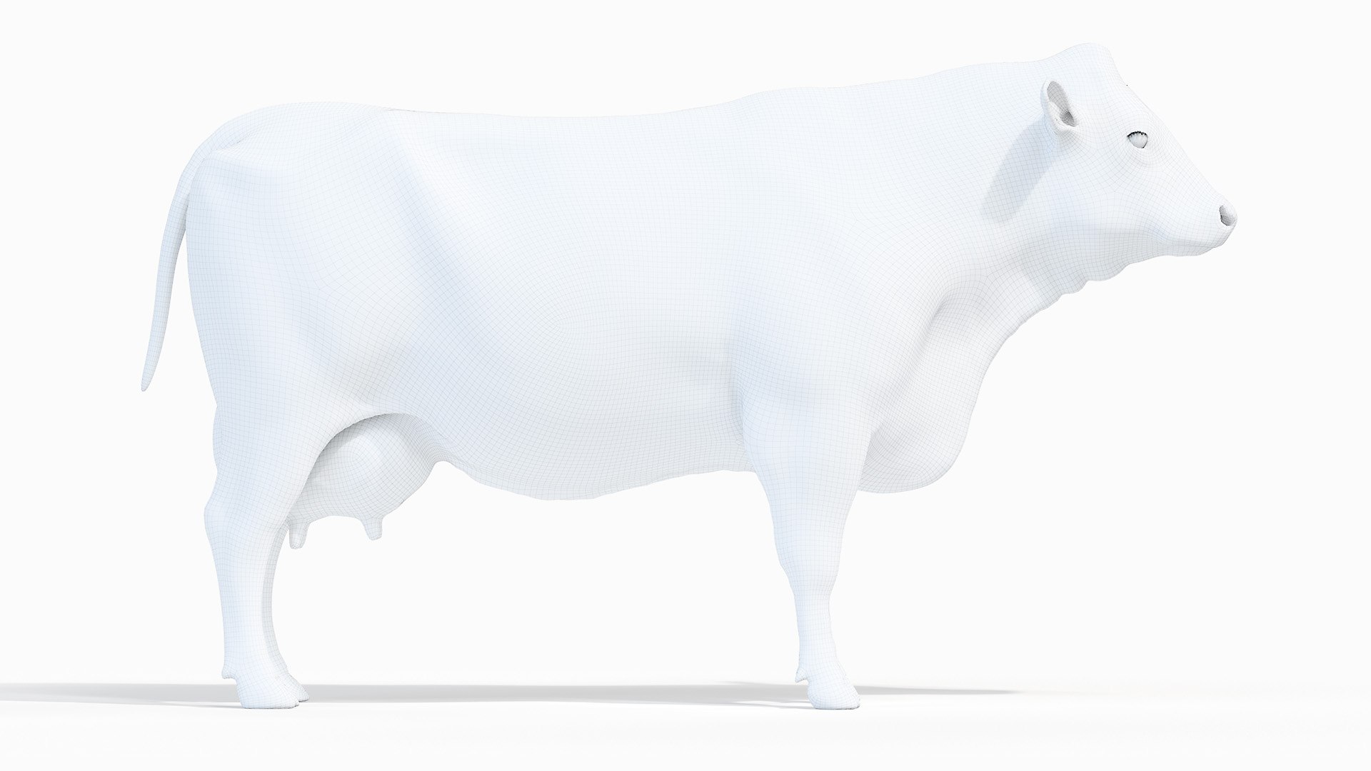 Cow Body Skeleton and Lymphatic System Static 3D model - TurboSquid 1893844