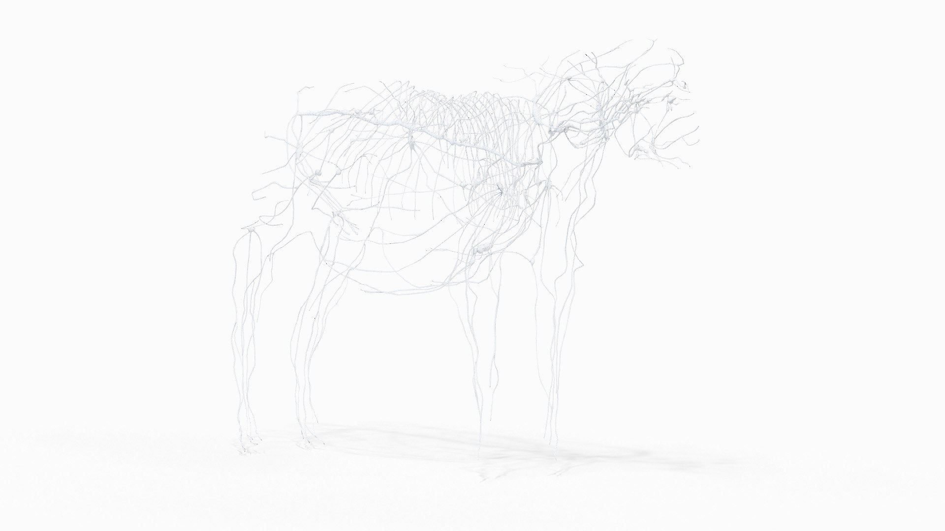 Cow Body Skeleton And Lymphatic System Static 3D Model - TurboSquid 1893844