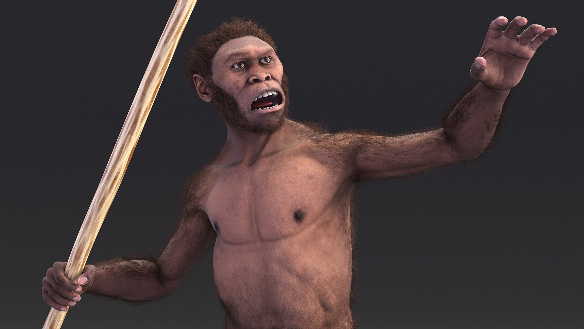 Homo Habilis With Spear Fur 3D Model - TurboSquid 2175152