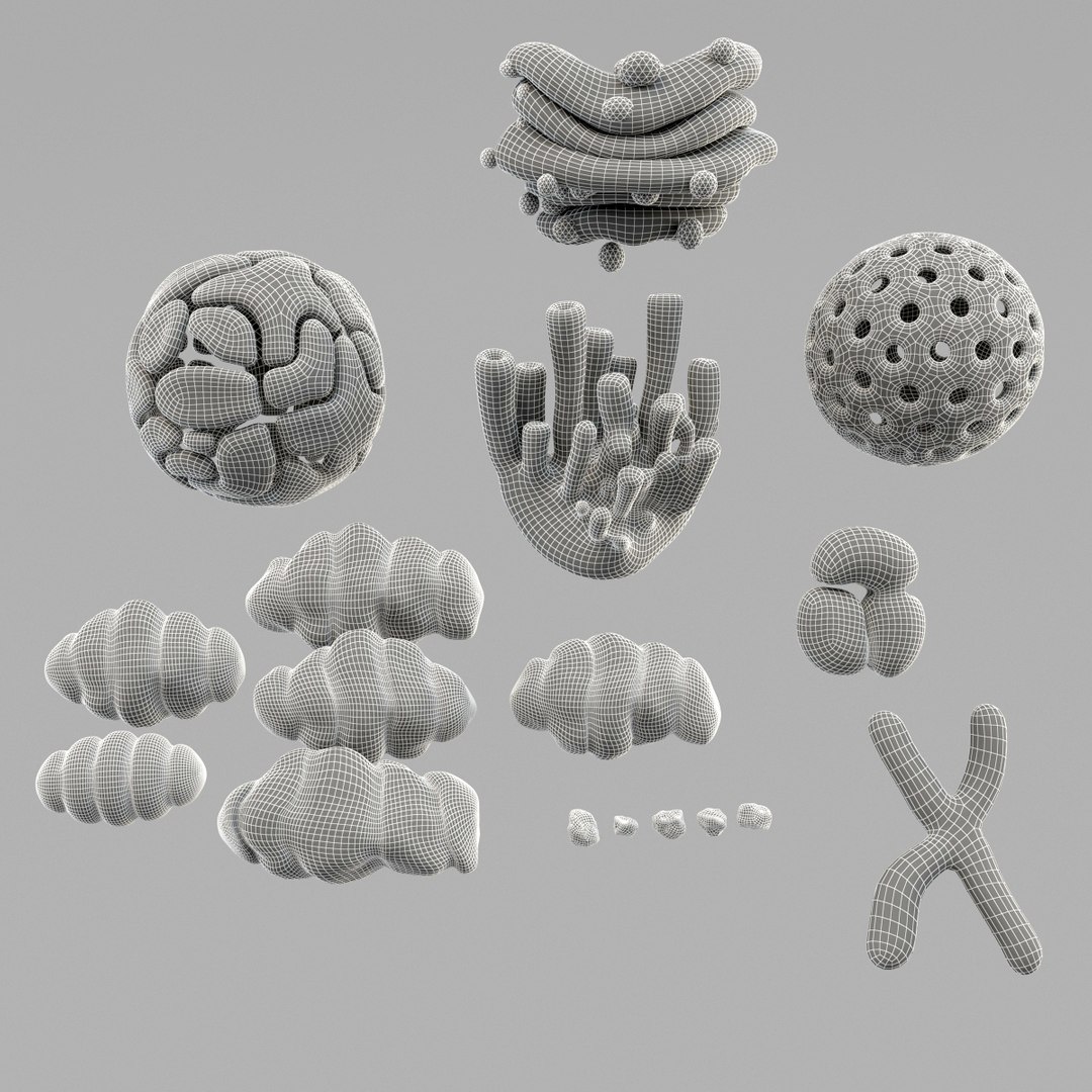 3d Model Cell