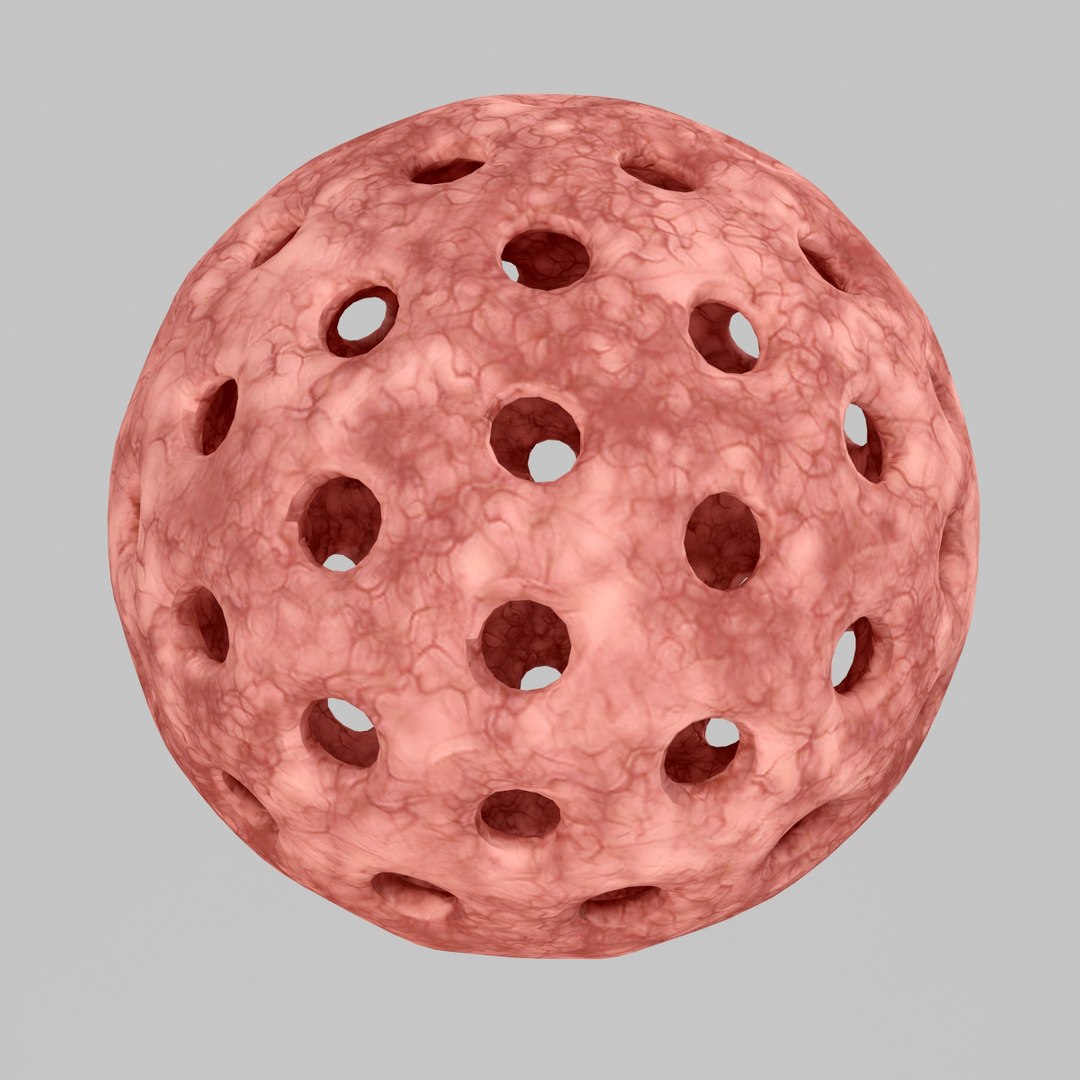 3d Model Cell