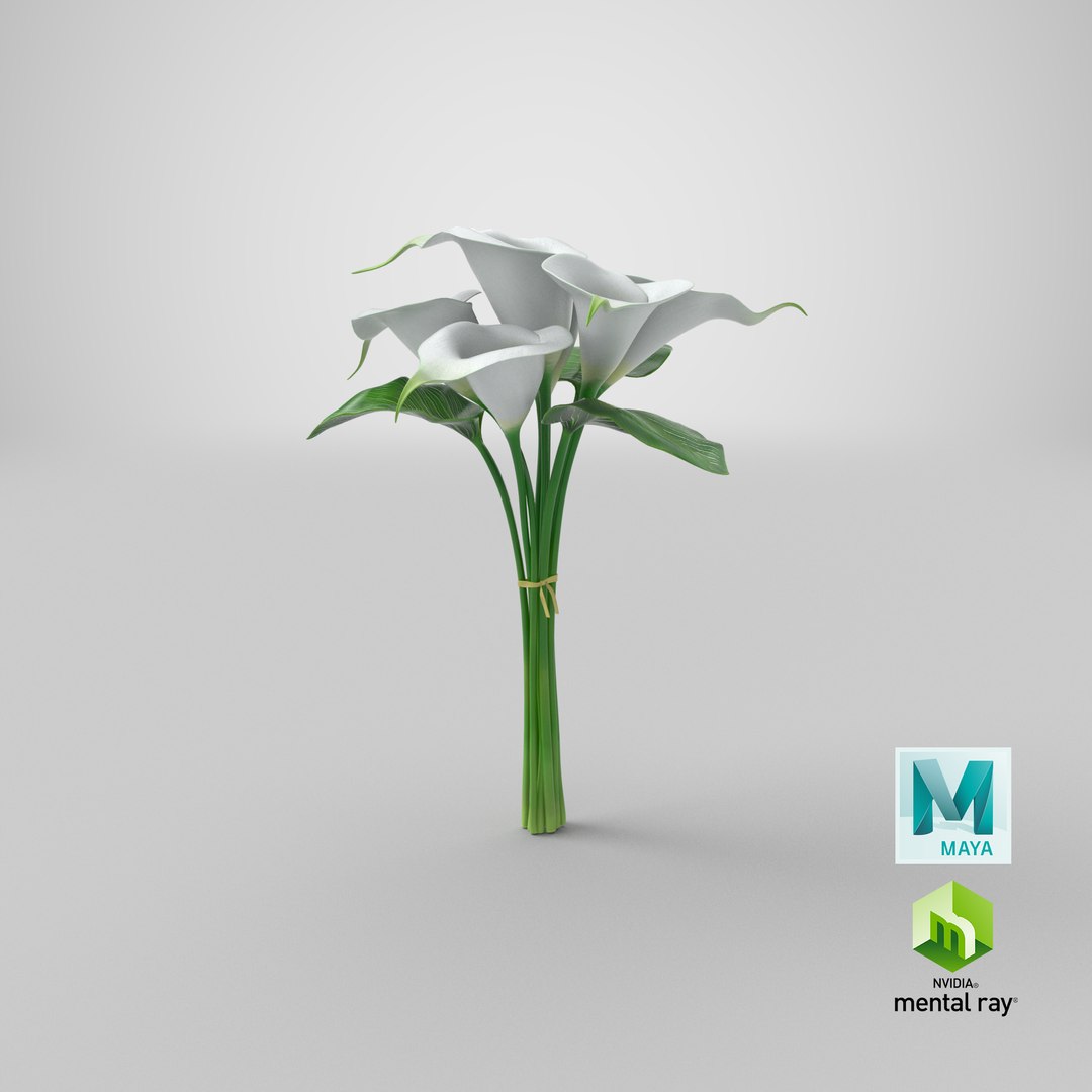 Bouquet Calla Lilies 3D Model - TurboSquid 1292813