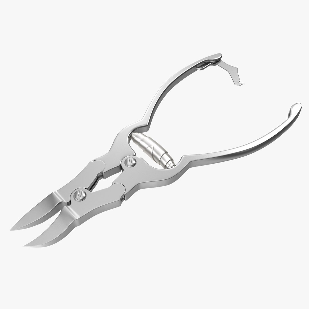 3D model clipper - TurboSquid 1307622