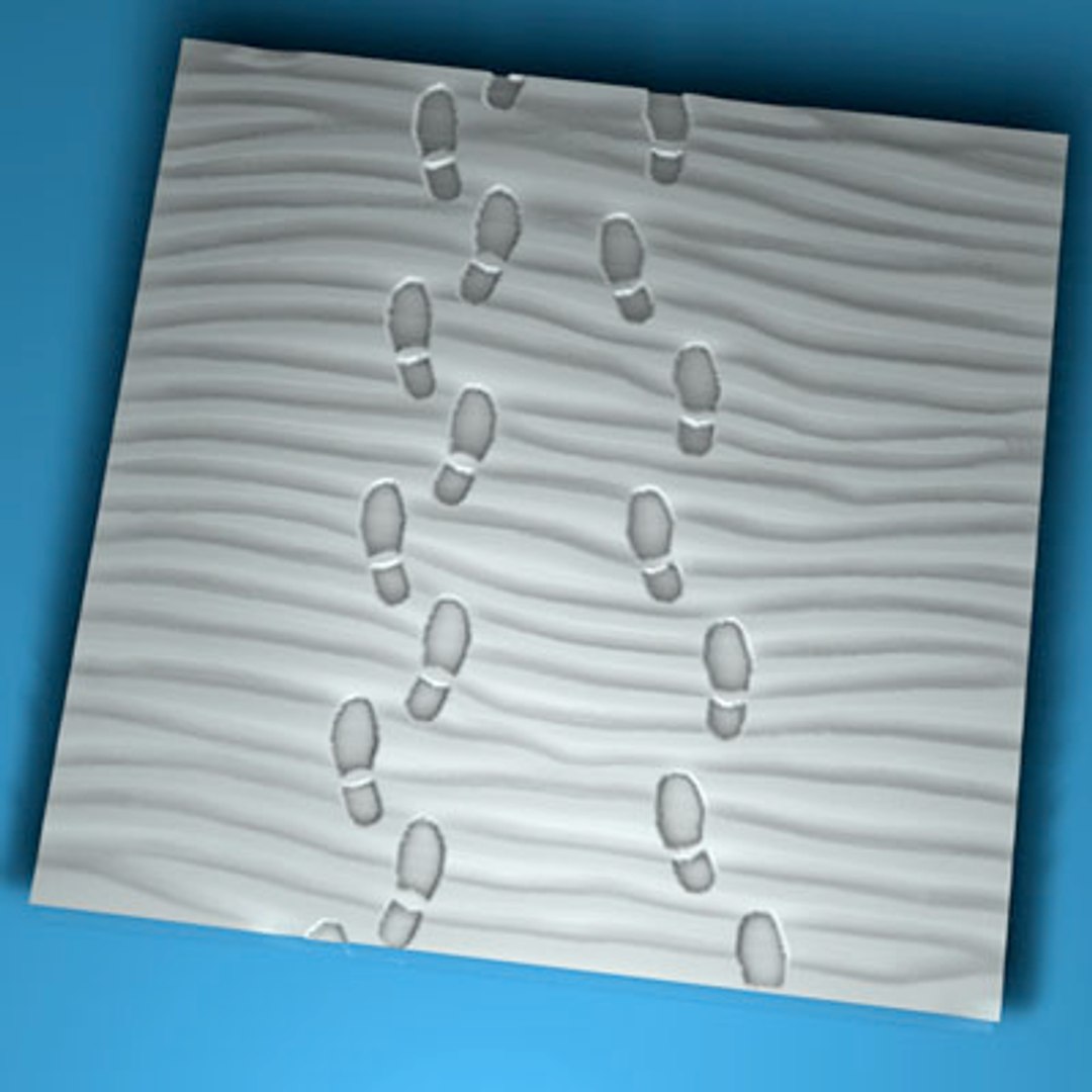 Foot Prints 3ds