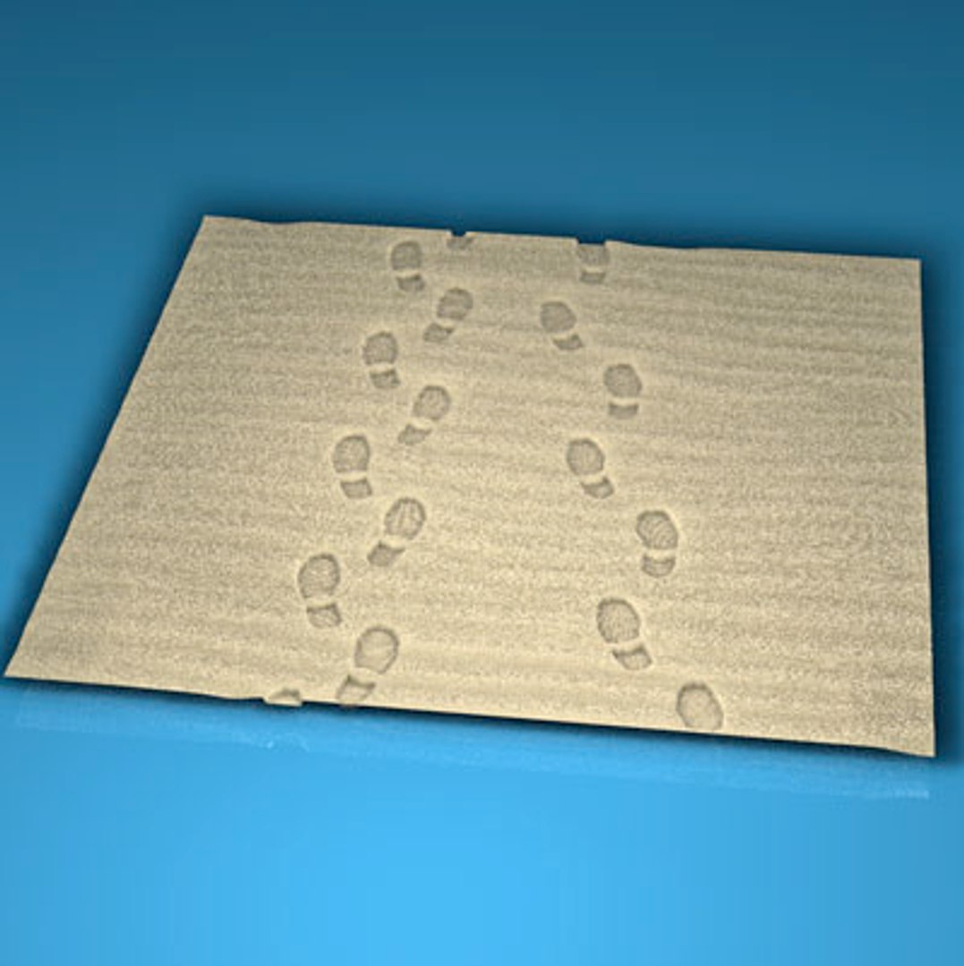 Foot Prints 3ds