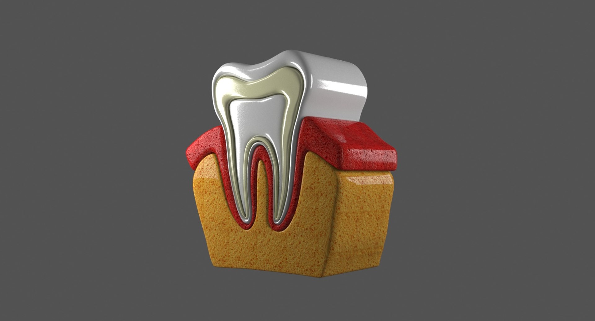 3D Tooth Diagram Model - TurboSquid 1258427