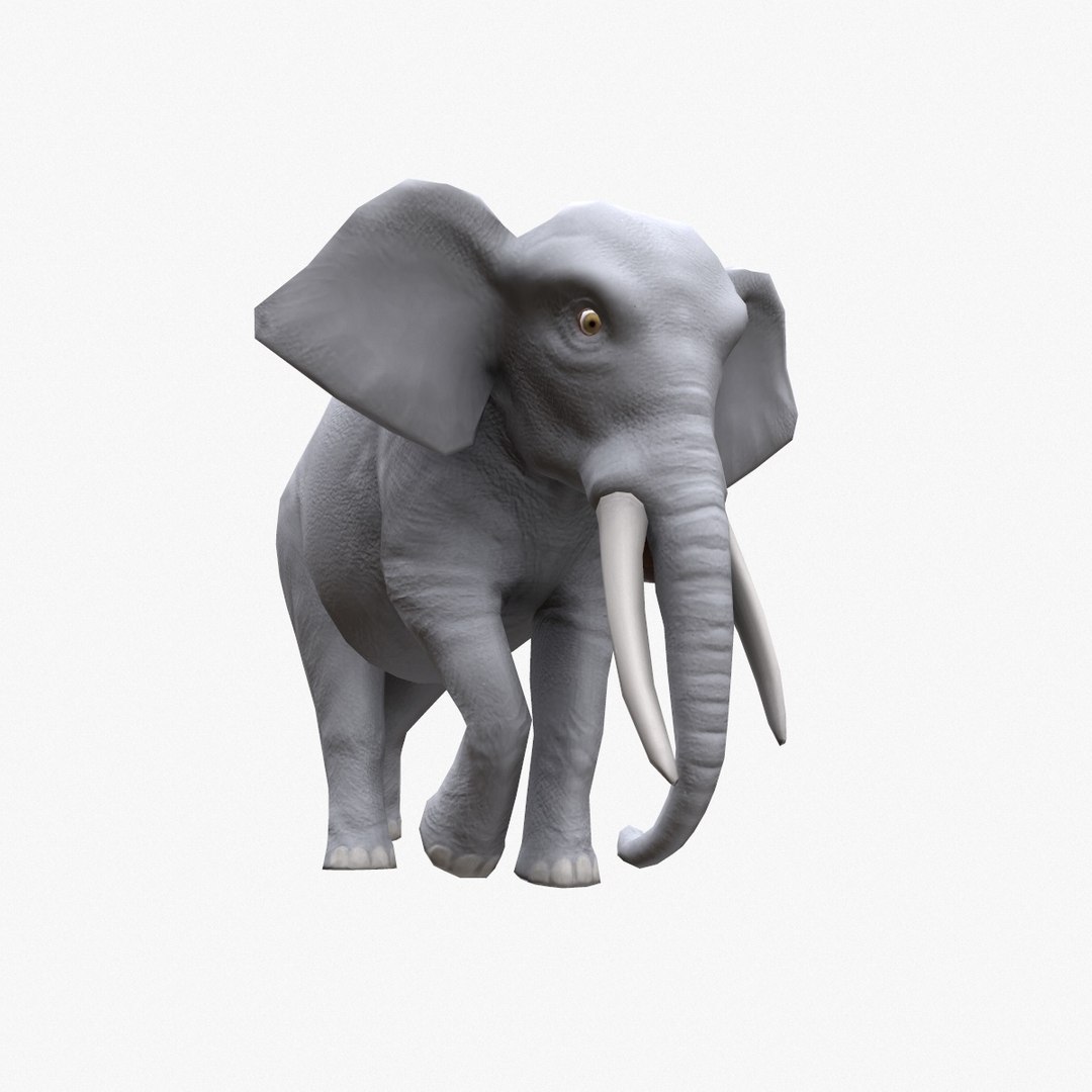 3D Elephant Walk Model - TurboSquid 1272091