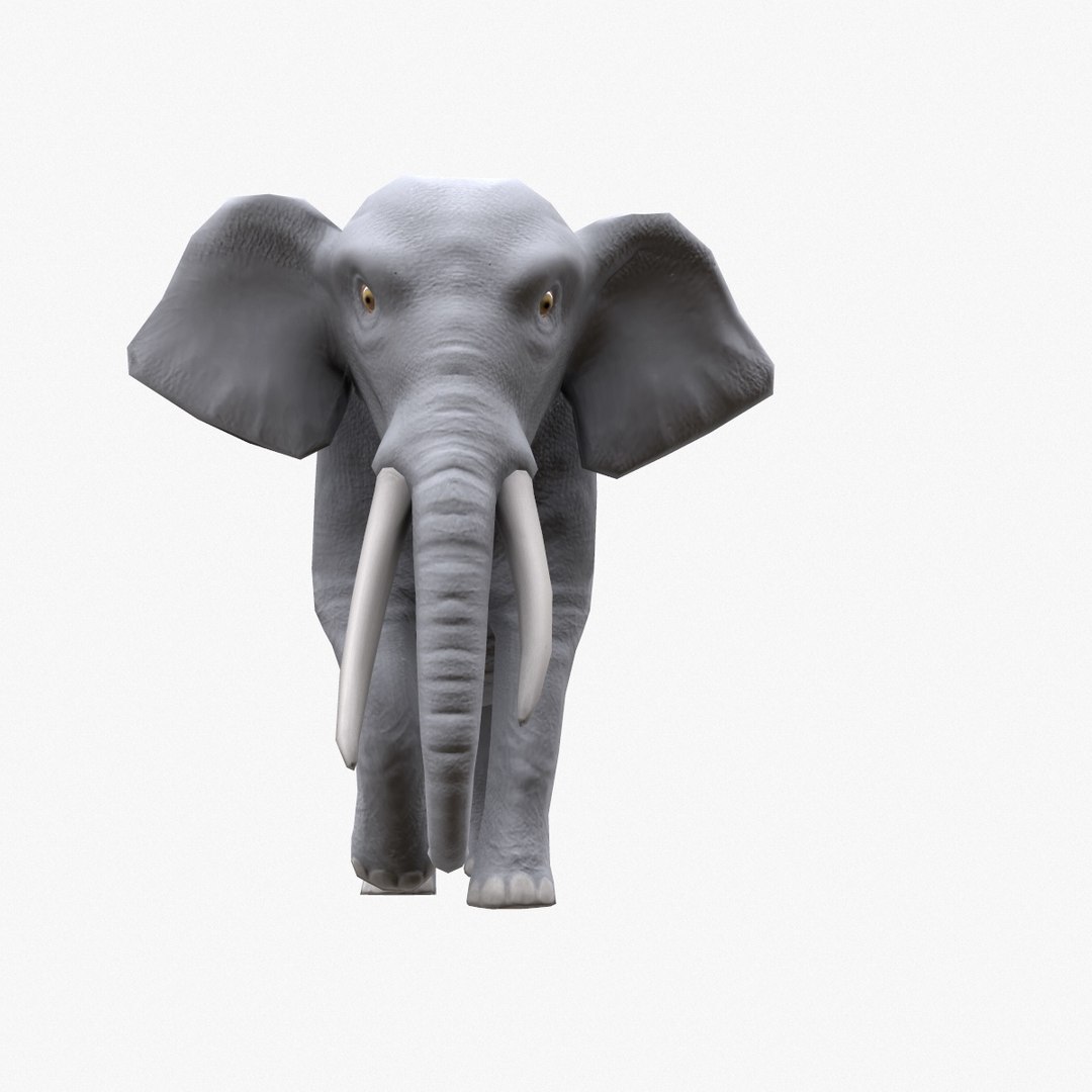 3D Elephant Walk Model - TurboSquid 1272091