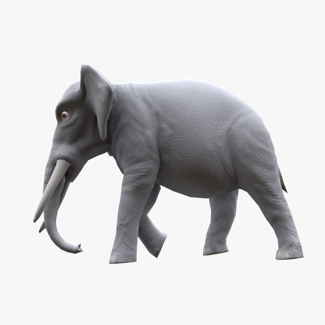 3D Elephant Walk Model - TurboSquid 1272091