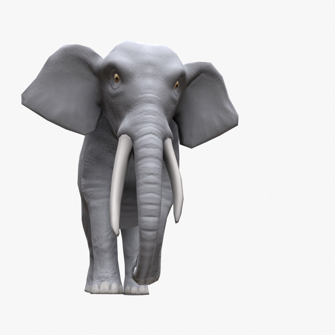 3D Elephant Walk Model - TurboSquid 1272091