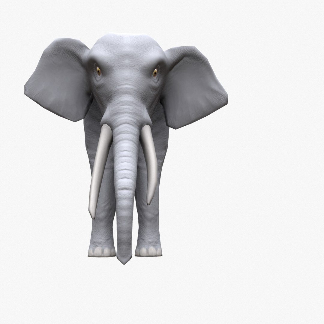 3D Elephant Walk Model - TurboSquid 1272091