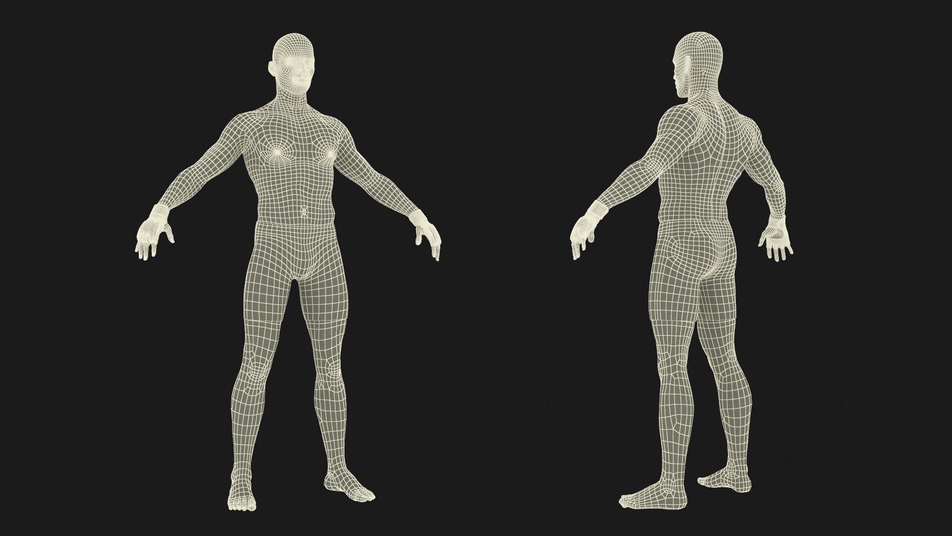 3D UFC MMA Fighter Jumping Animated Fur Rigged Model - TurboSquid 2382251