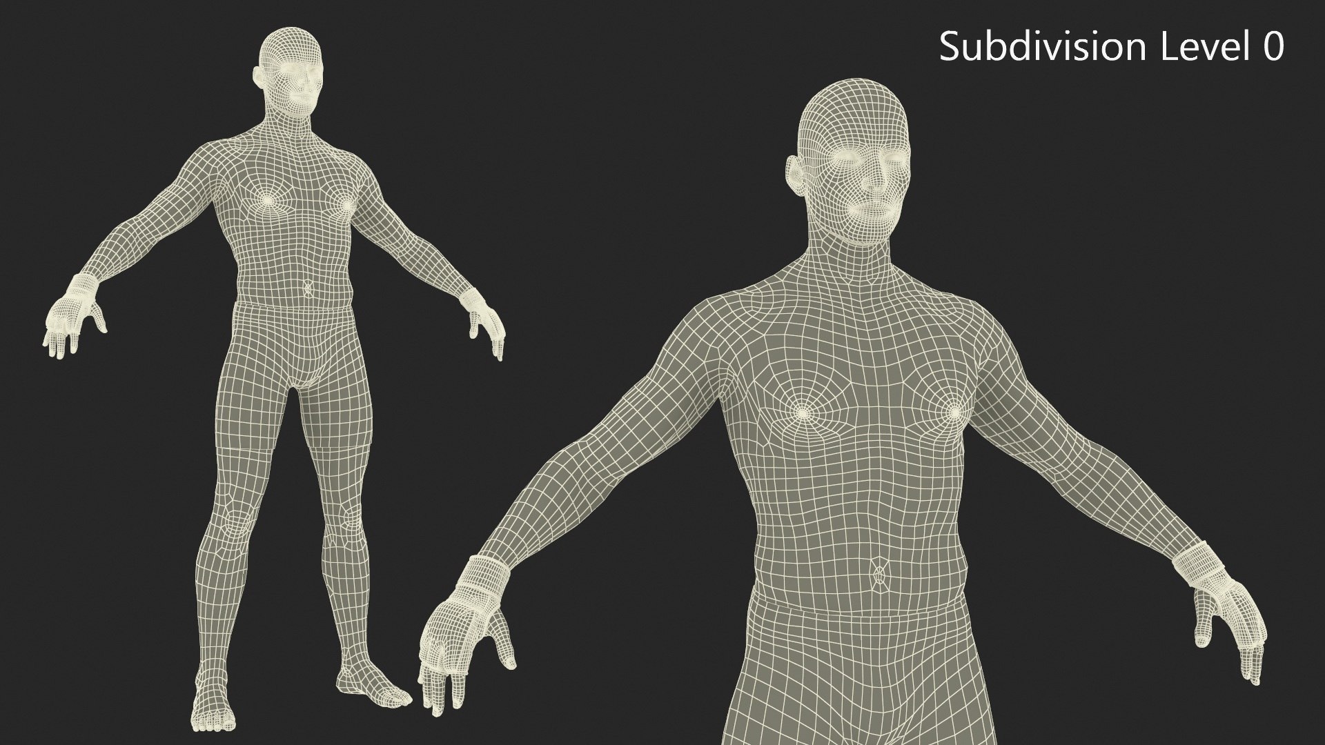 3D UFC MMA Fighter Jumping Animated Fur Rigged Model - TurboSquid 2382251