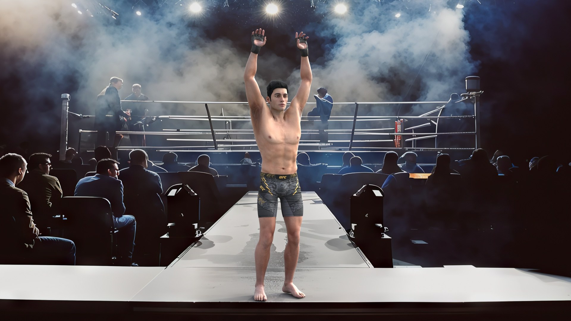 3D UFC MMA Fighter Jumping Animated Fur Rigged Model - TurboSquid 2382251