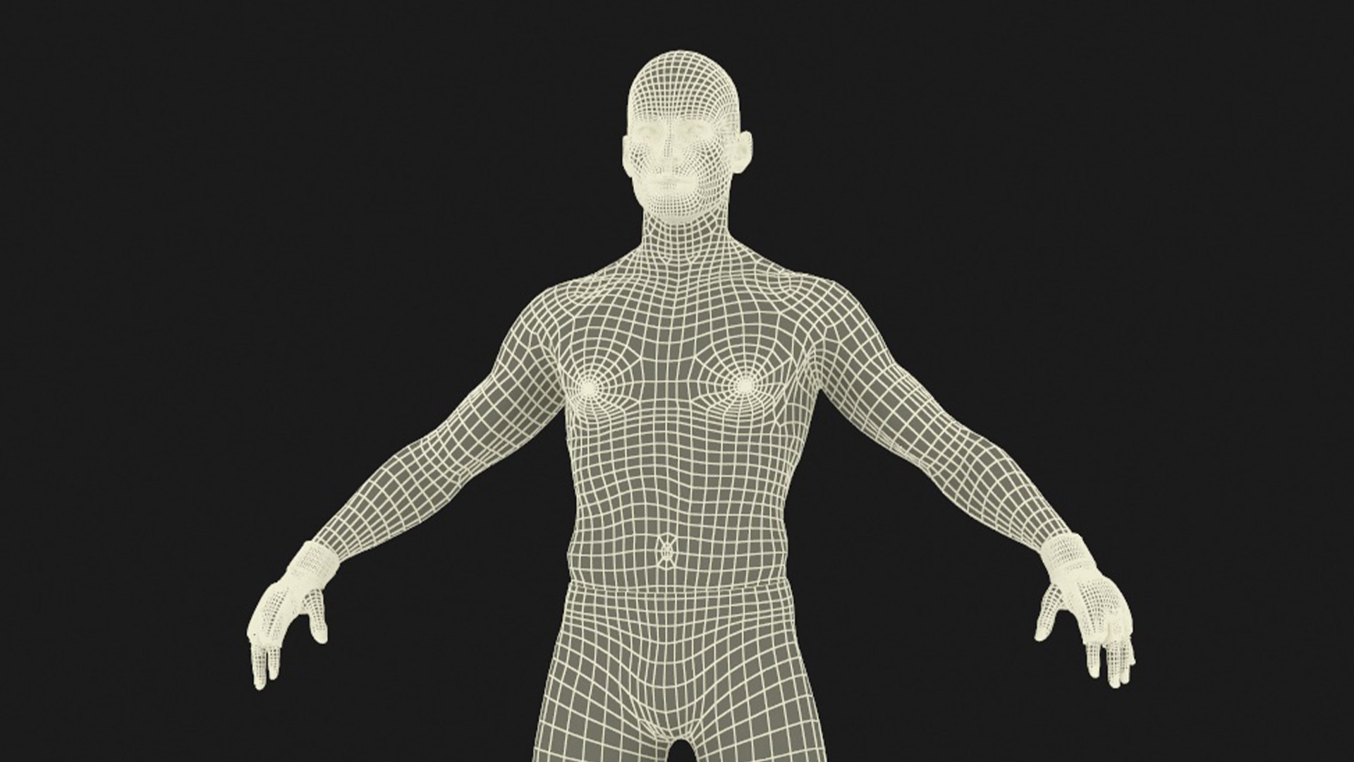 3D UFC MMA Fighter Jumping Animated Fur Rigged Model - TurboSquid 2382251